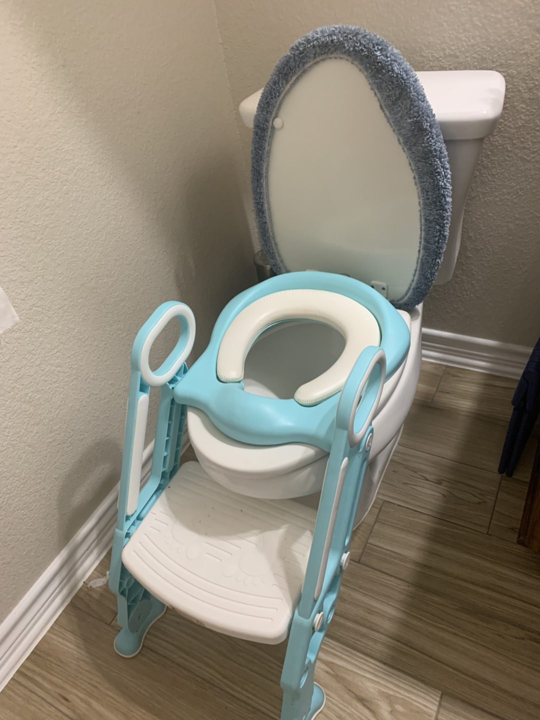 Tips-and-tricks-on-toilet-training-twin-boys, potty training boys